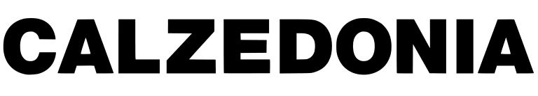 Calzedonia_logo - InterBus